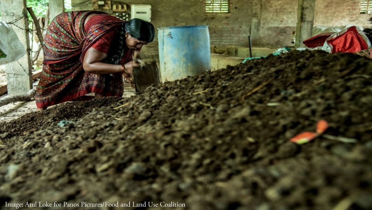 What is Natural Farming Cultivation in India? CEEW Research